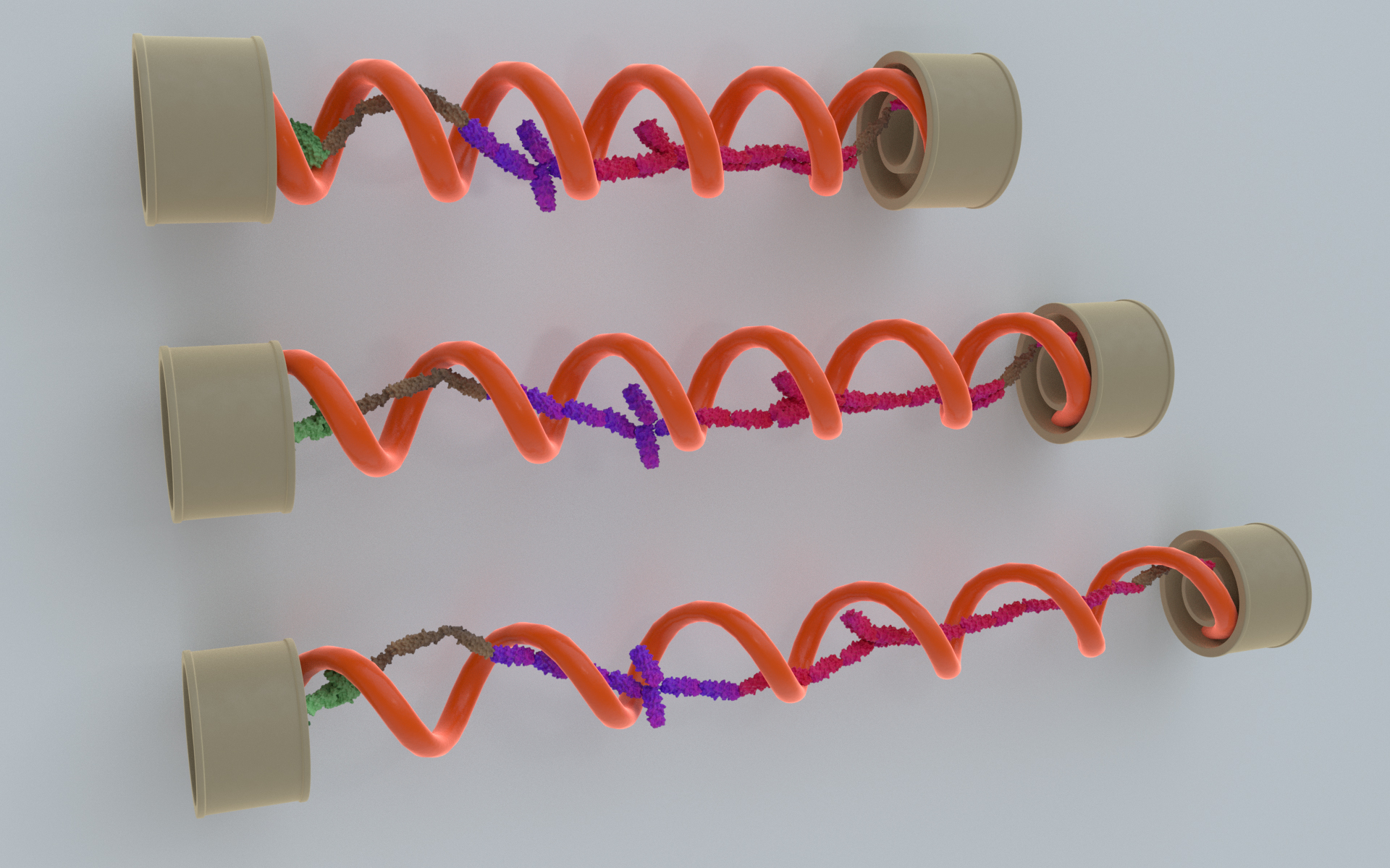 A Cellular Shock Absorber - Mechanobiology Institute, National ...