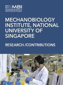 Research - Mechanobiology Institute, National University of Singapore