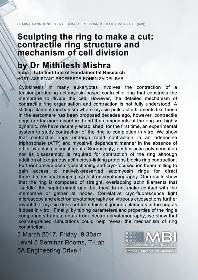 MBI Seminar: Sculpting the ring to make a cut: contractile ring ...