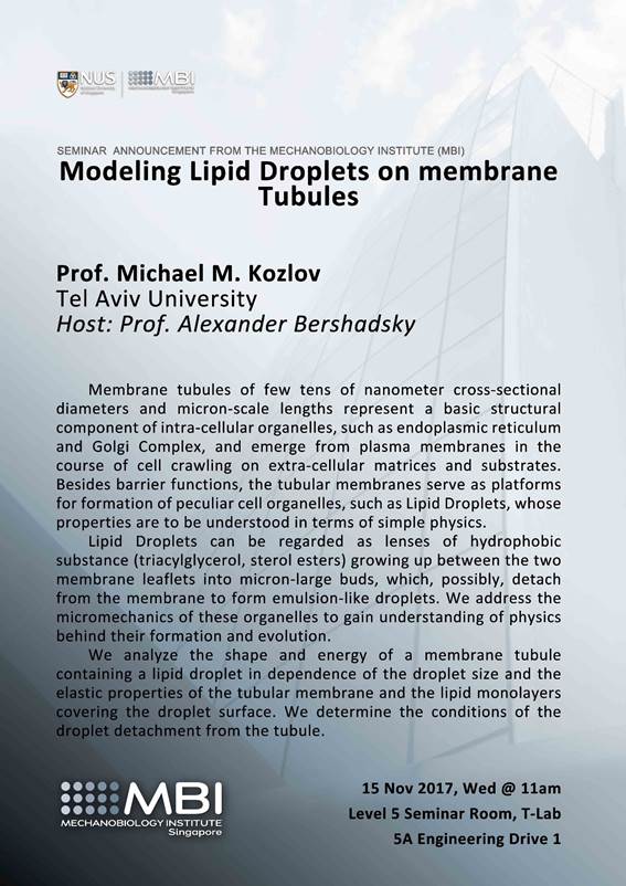 Modeling lipid droplets on membrane tubules by Prof Michael Kozlov, Tel Aviv University ...