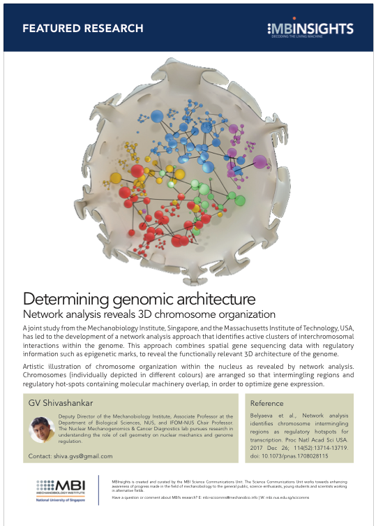 Determining genomic architecture - Mechanobiology Institute, National ...