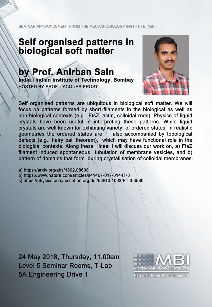 Self organised patterns in biological soft matter by Prof Anirban Sain ...