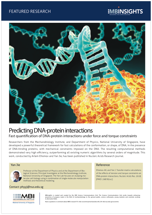 Predicting DNA-protein interactions - Mechanobiology Institute ...