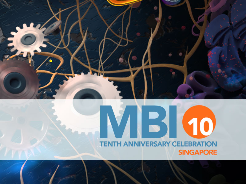 MBI 10th Anniversary Celebration: 6-12 NOV 2018 - Mechanobiology ...