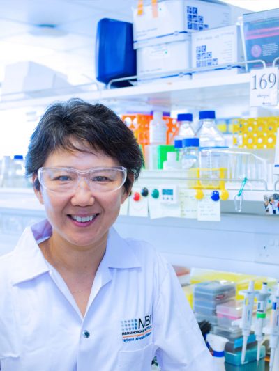 Rong Li Lab - Mechanobiology Institute, National University of Singapore