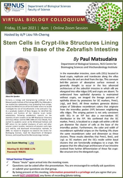Virtual Biology Colloquium: Stem Cells in Crypt-like Structures Lining the Base of the Zebrafish ...