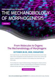 Conference Archive - Mechanobiology Institute, National University of ...