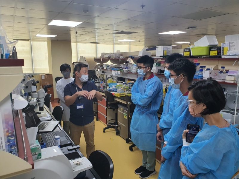 Chii Jou Chan Lab - Mechanobiology Institute, National University of ...