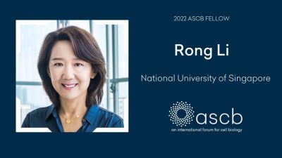 Rong Li - Mechanobiology Institute, National University of Singapore