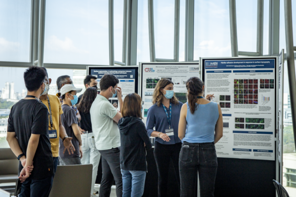 MBI Undergraduate Summer Training Programme