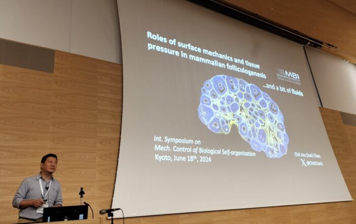 Chii Jou Chan Lab - Mechanobiology Institute, National University of ...