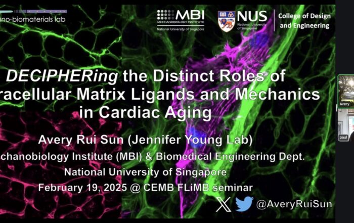 Research - Mechanobiology Institute, National University of Singapore