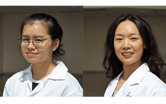 Chii Jou Chan Lab - Mechanobiology Institute, National University of ...
